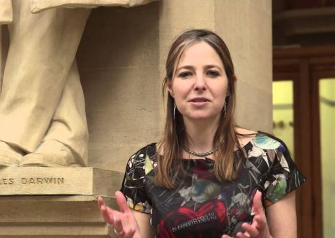 Oxford University Museum Of Natural History's Sensing Evolution Origin ...