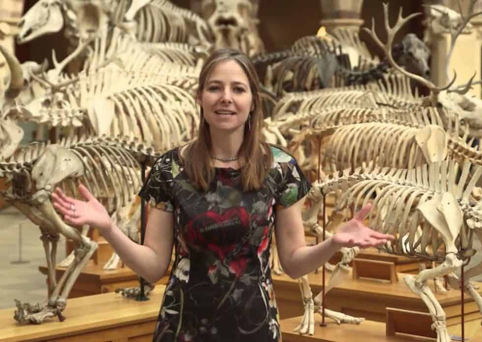 Oxford University Museum Of Natural History's Sensing Evolution ...