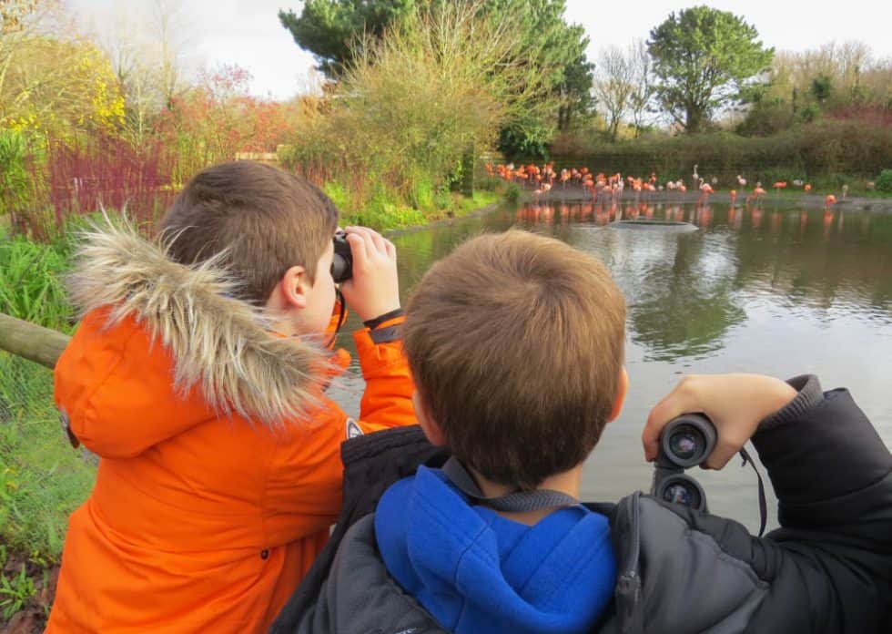 Plan Your School Trip To WWT Llanelli Wetland Centre