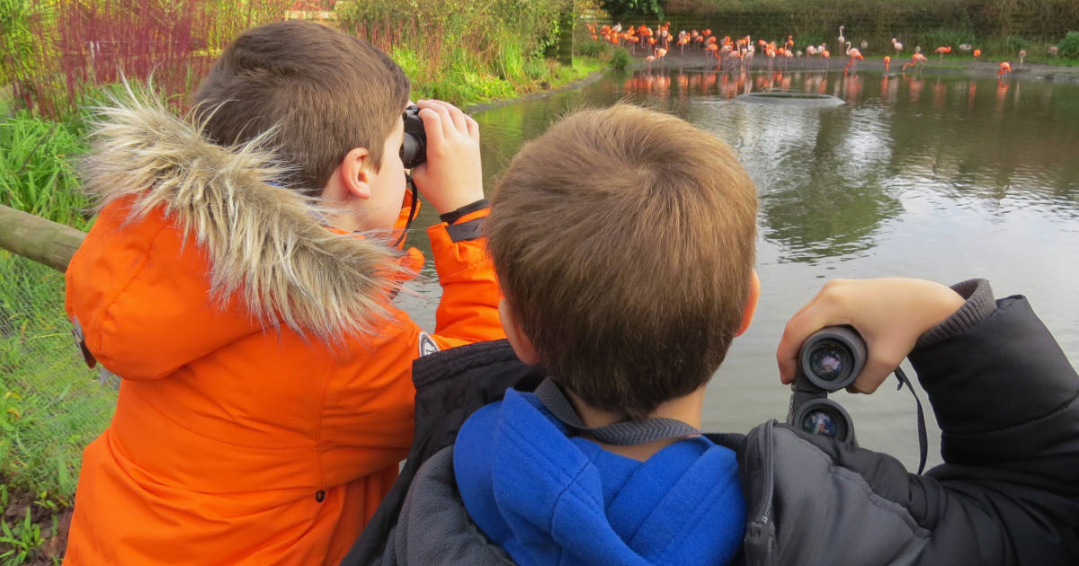 Plan Your School Trip To WWT Llanelli Wetland Centre