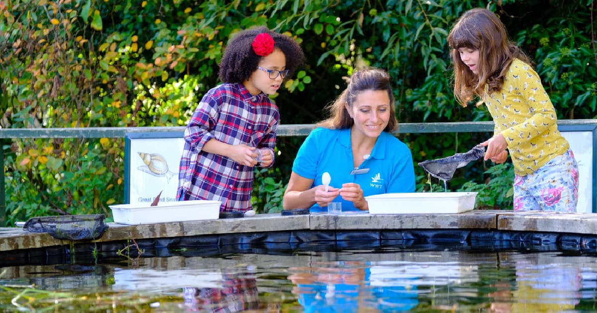 WWT Slimbridge's Birds, Beaks And Feeding Techniques Workshop | The ...