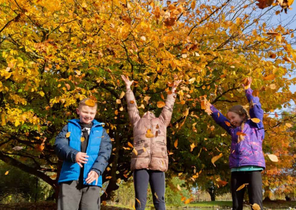 Plan Your School Trip To WWT Slimbridge Wetland Centre