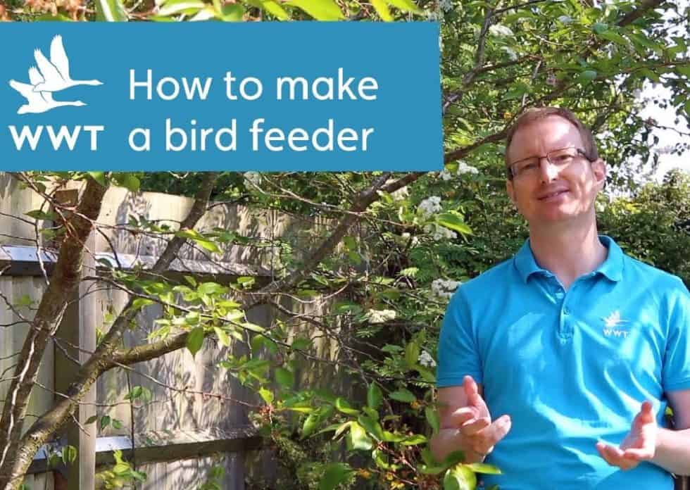 WWT's Make Your Own Bird Feeder Activity Resources | The School Trip