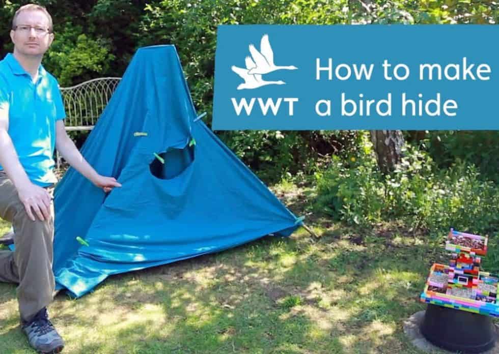 WWT's Make Your Own Bird Hide Activity Resources | The School Trip