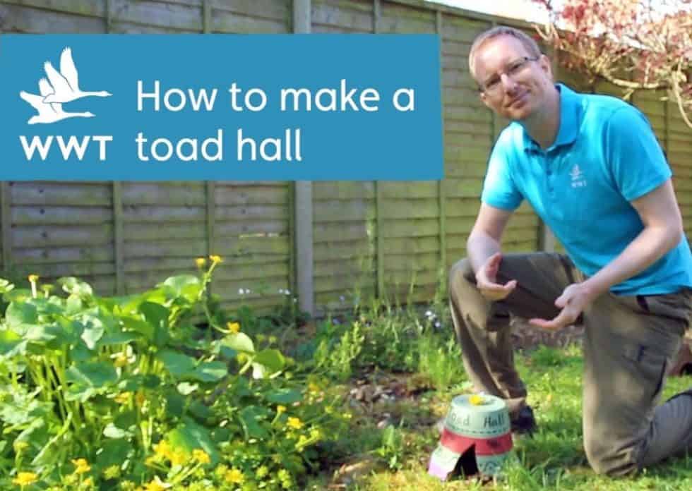 WWT's Make Your Own Toad Hall Activity Resources | The School Trip