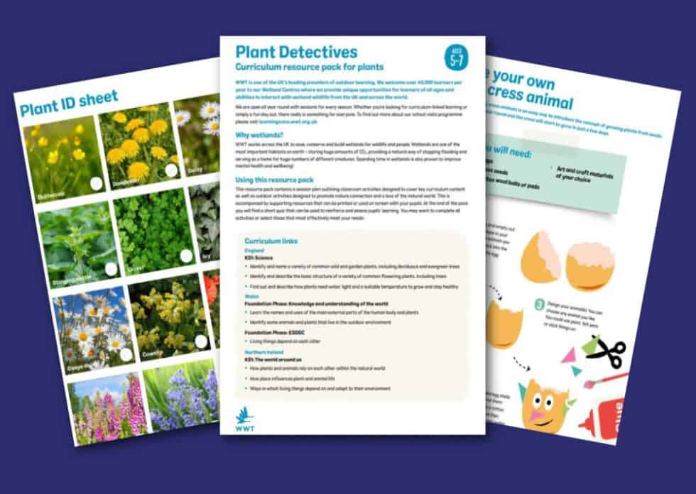 WWT's Plant Detectives Resources | The School Trip