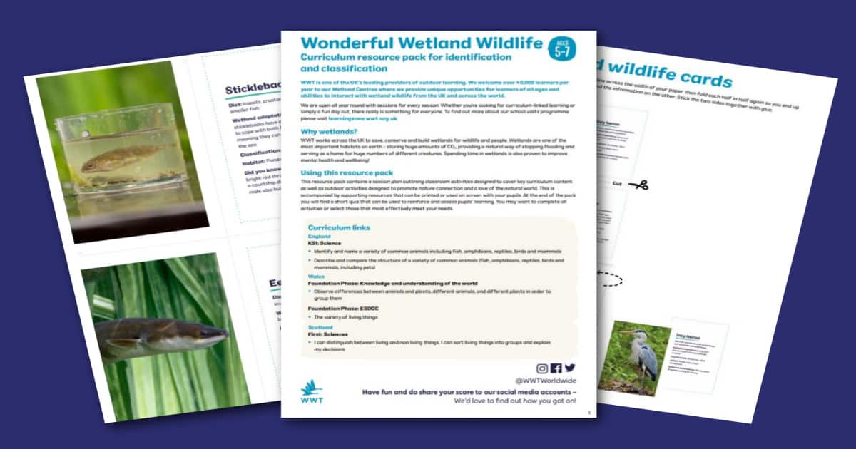 WWT's Wonderful Wetland Wildlife Resources | The School Trip