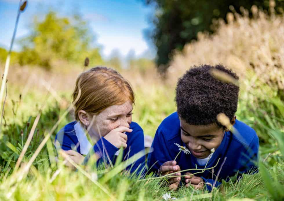 Your Complete Guide To WWT's Free Generation Wild Project