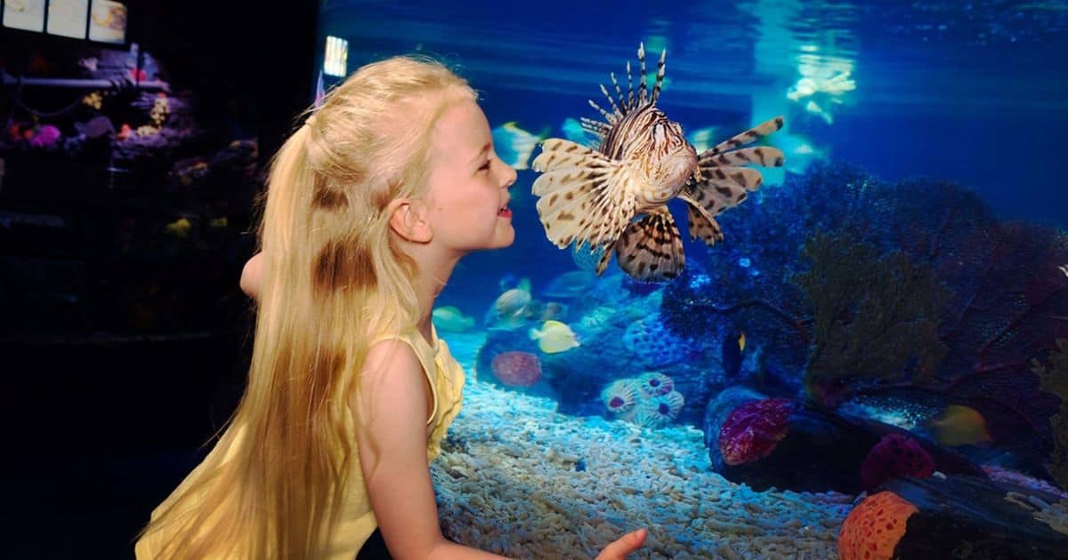 Plan Your School Trip To Sea Life Aquarium