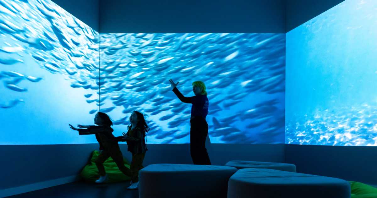 Eureka! Science + Discovery The Senses Science Show Workshop | The ...